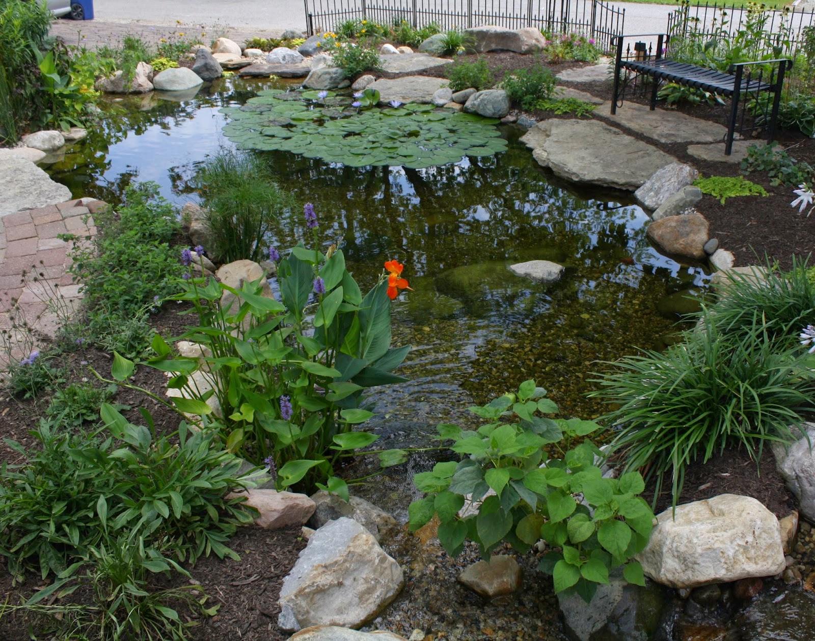 Essential Elements of a Low Maintenance Pond