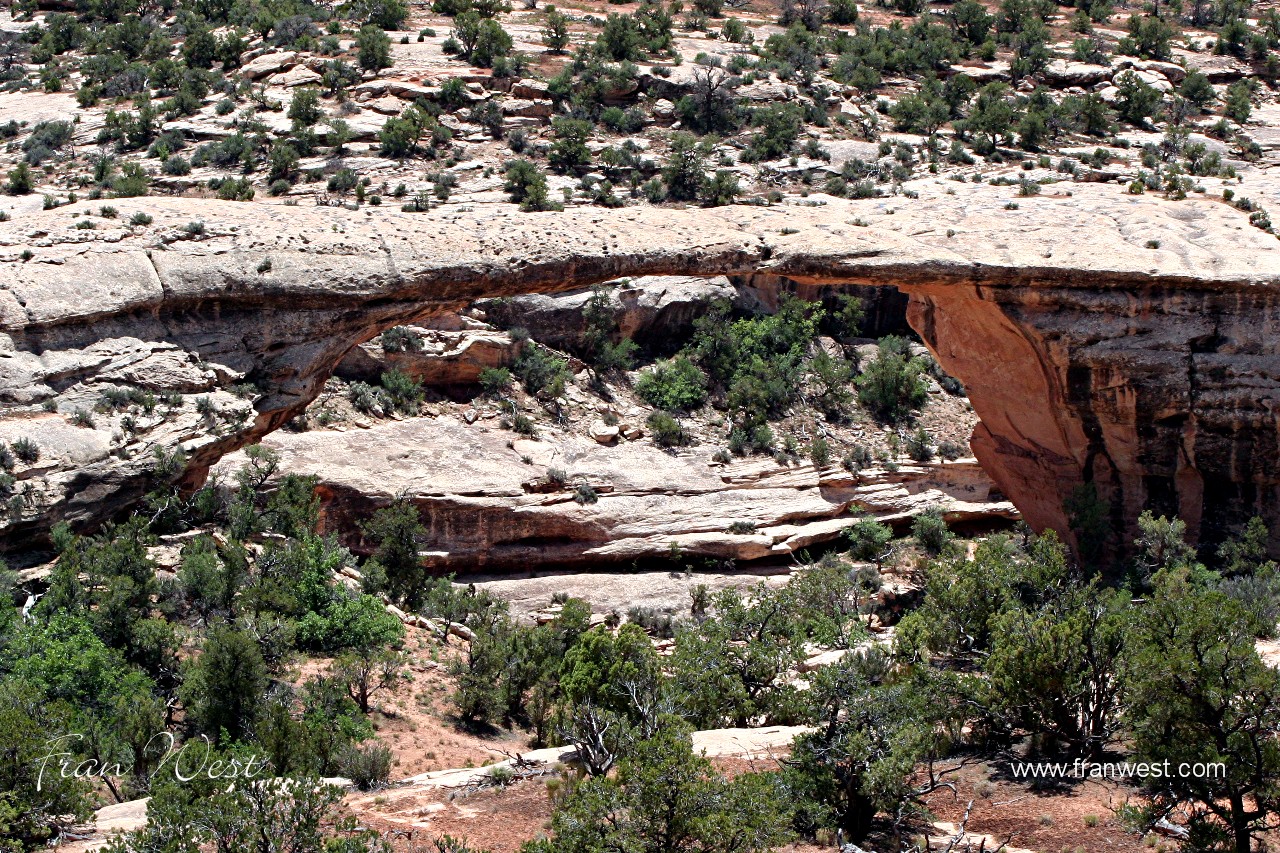 Fran West: Natural Bridges Naturally Bridge the Gap