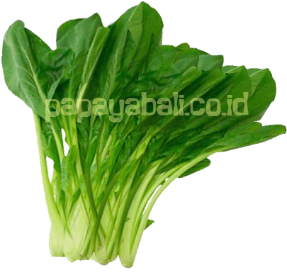 Promosi Spesial Hari Jumat papaya Supermarket Bali ~ PAPAYA FRESH ...