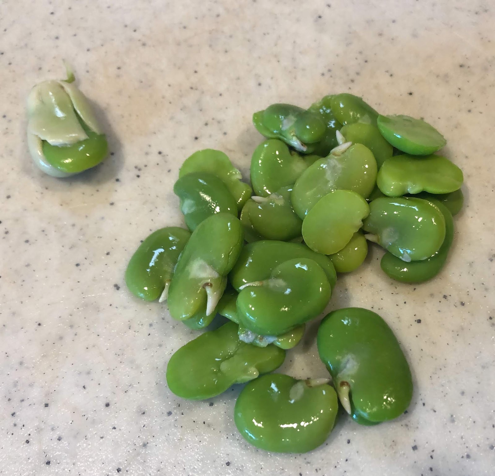 Fava beans and asparagus co-star in spring salad