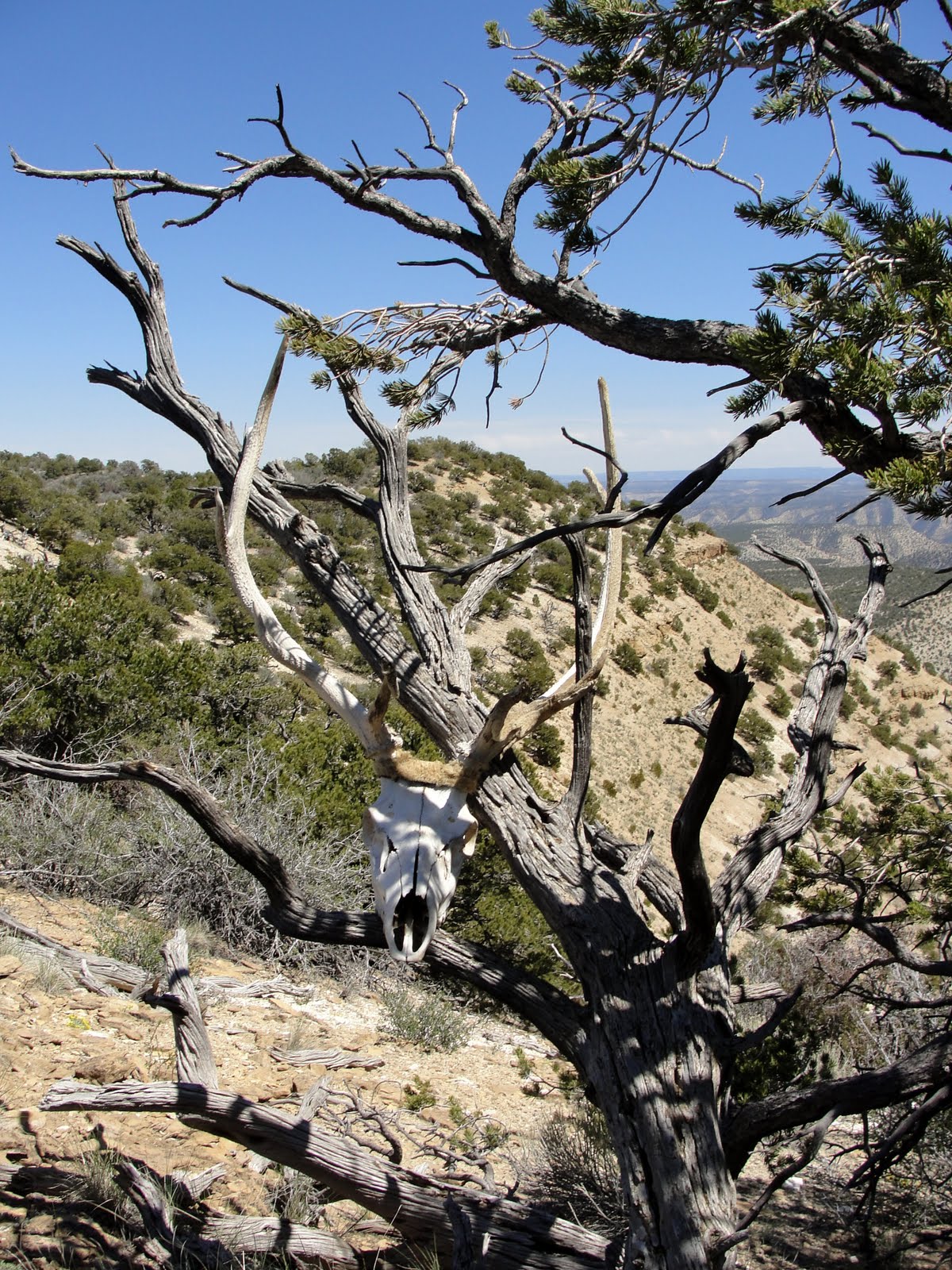 Janie and Steve, Utah Trails: Double Barrels and Elk Antlers