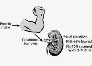 kidney expert: How to Deal With Skin Rash for Chronic Kidney Disease ...