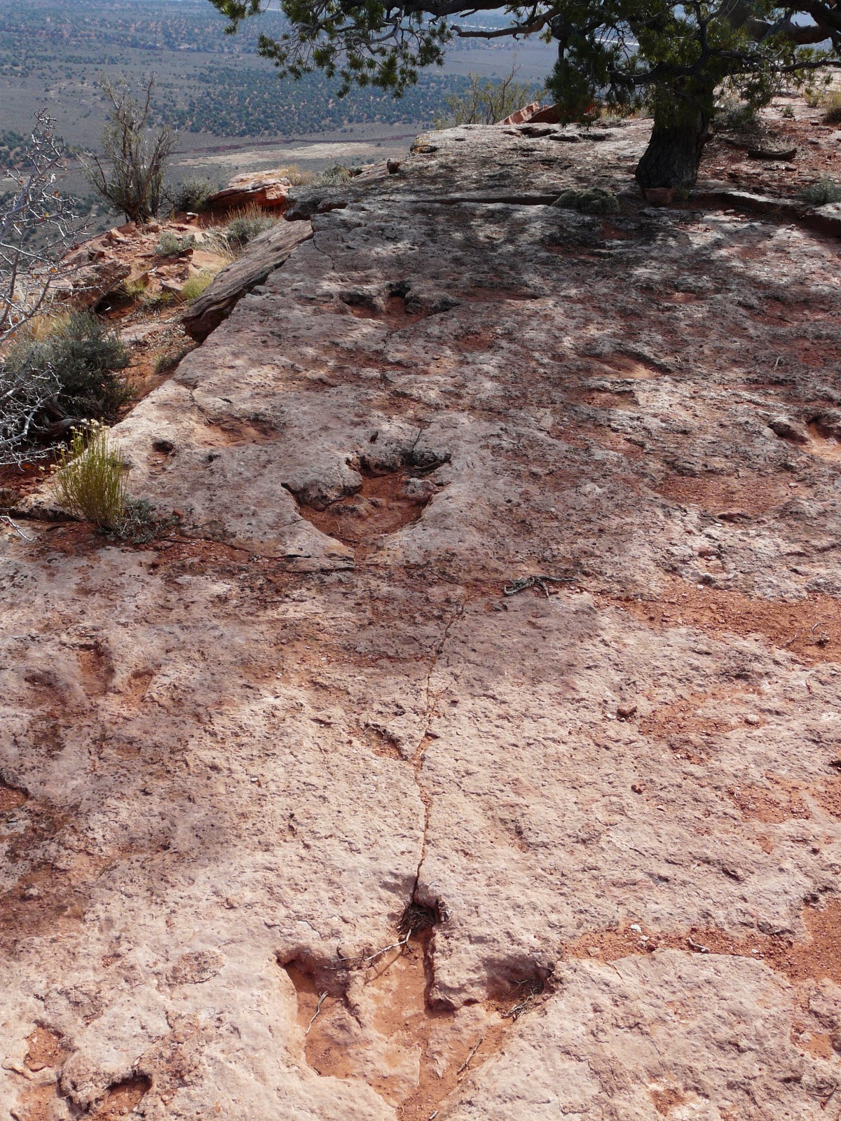 Hiking the Great American Southwest: Moki Steps, Petroglyphs ...