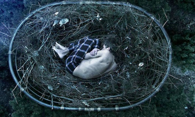 Cromofora La ( Paloma) Contemporary Online Art Gallery: CHRISTIAN HOPKINS