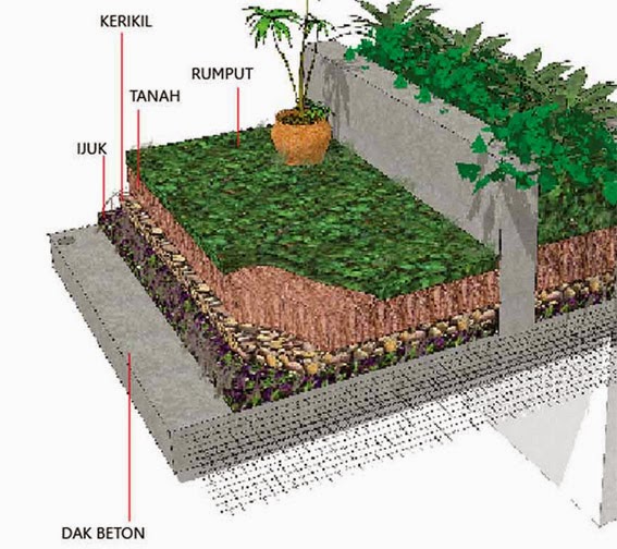 DAFTAR HARGA TANAMAN: Roof garden