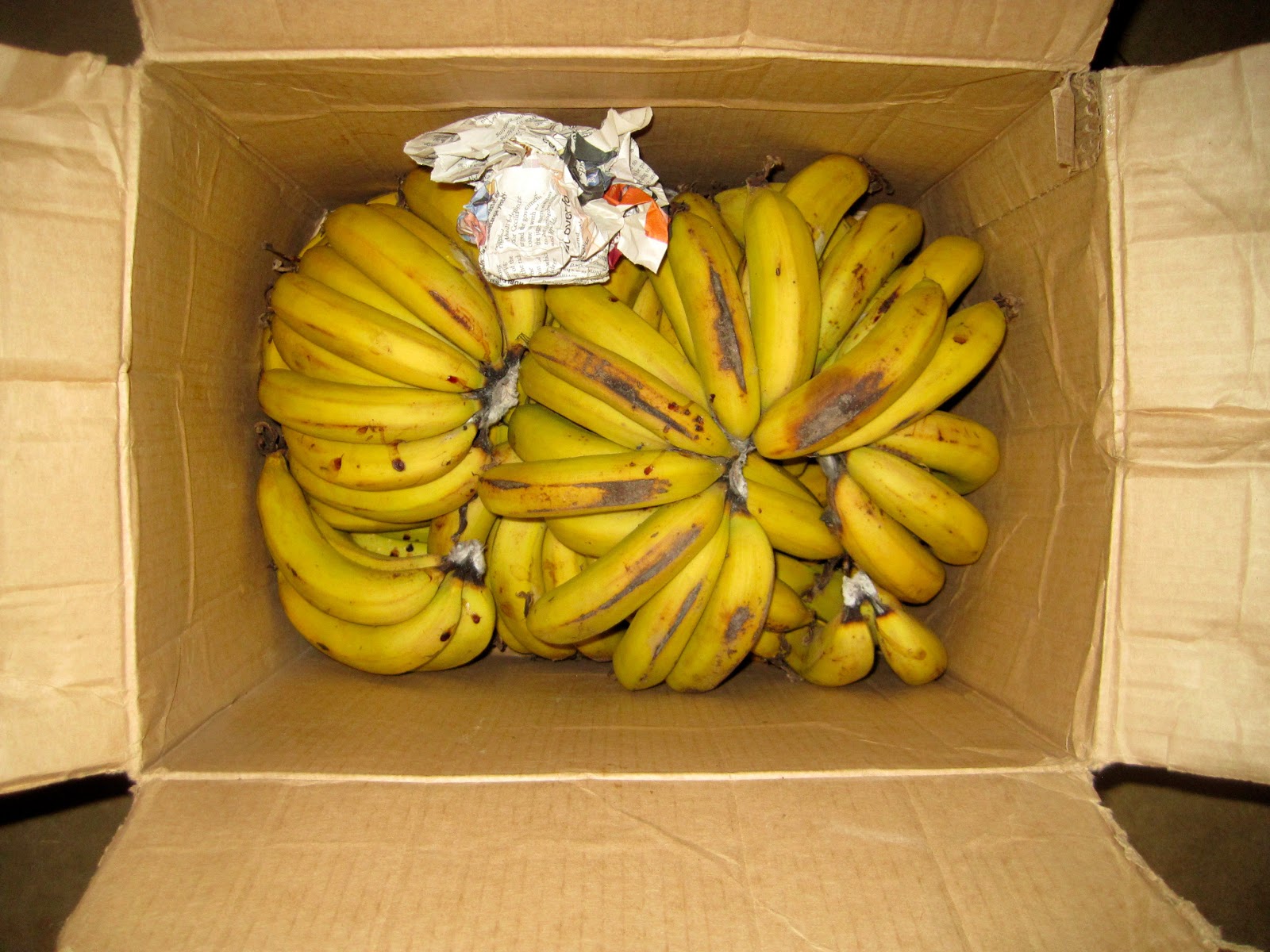 Found in Translation: Its Bananas!