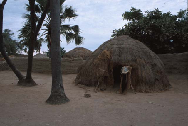 Dünya'nın Bütün Camileri: Borongo Camii, Borongo, Mali