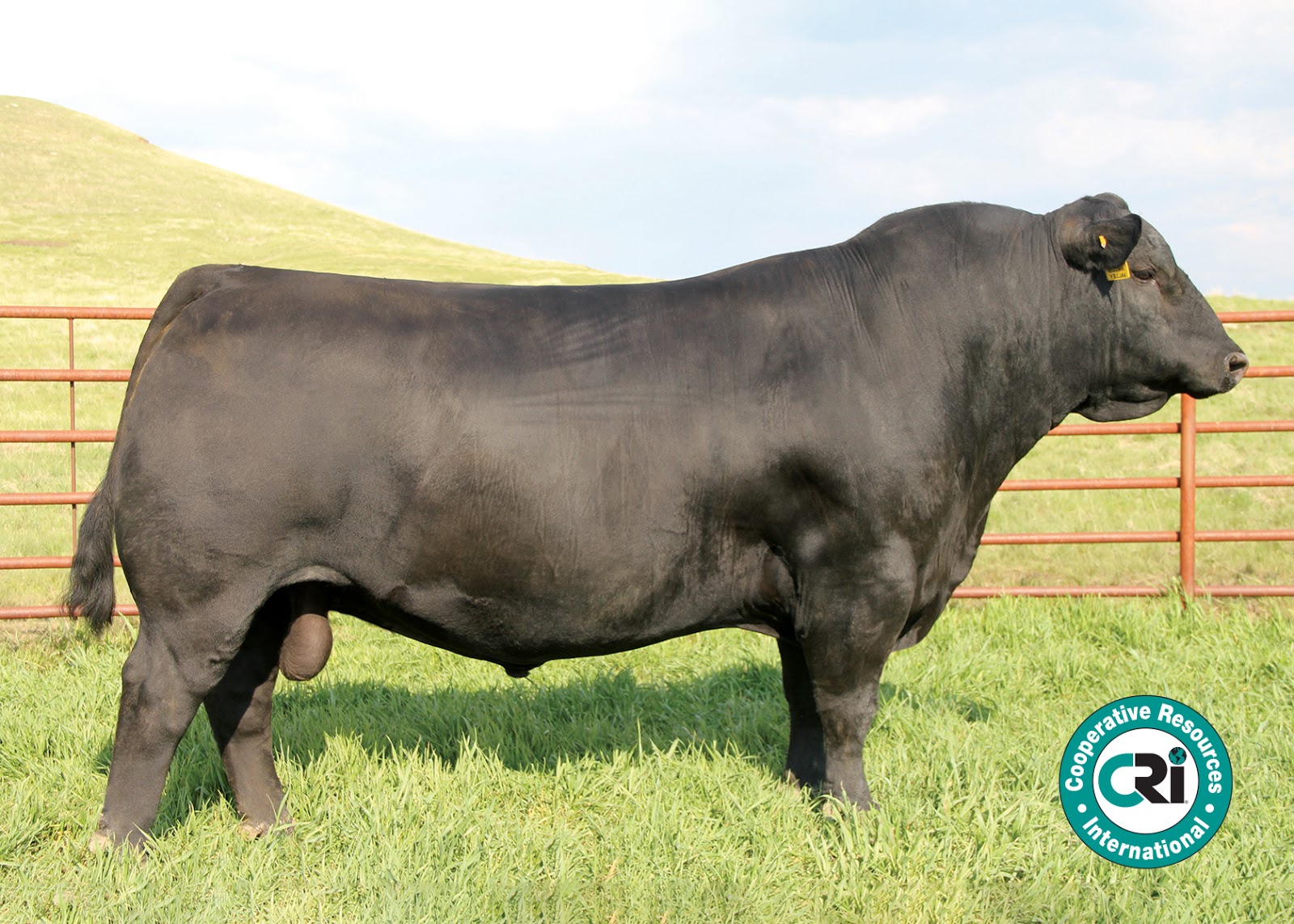 The GENEX Blog: On the Road with Lorna and Willie