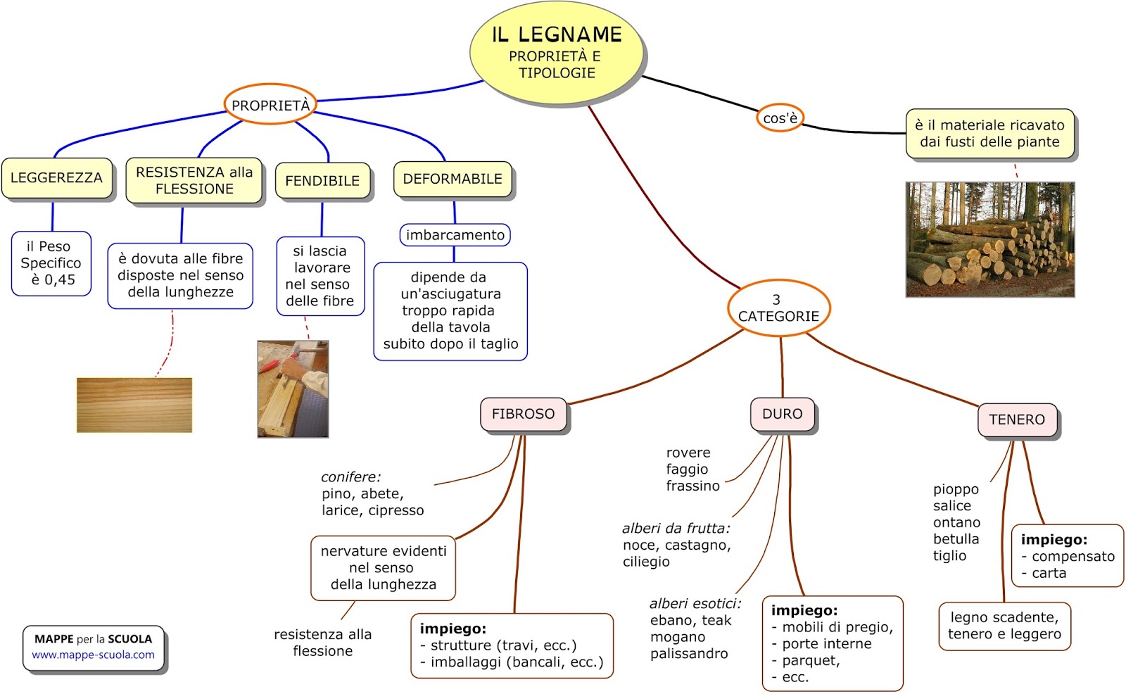 MAPPE per la SCUOLA: IL LEGNAME - legno (tecnologia)