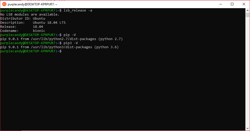 Pip Install