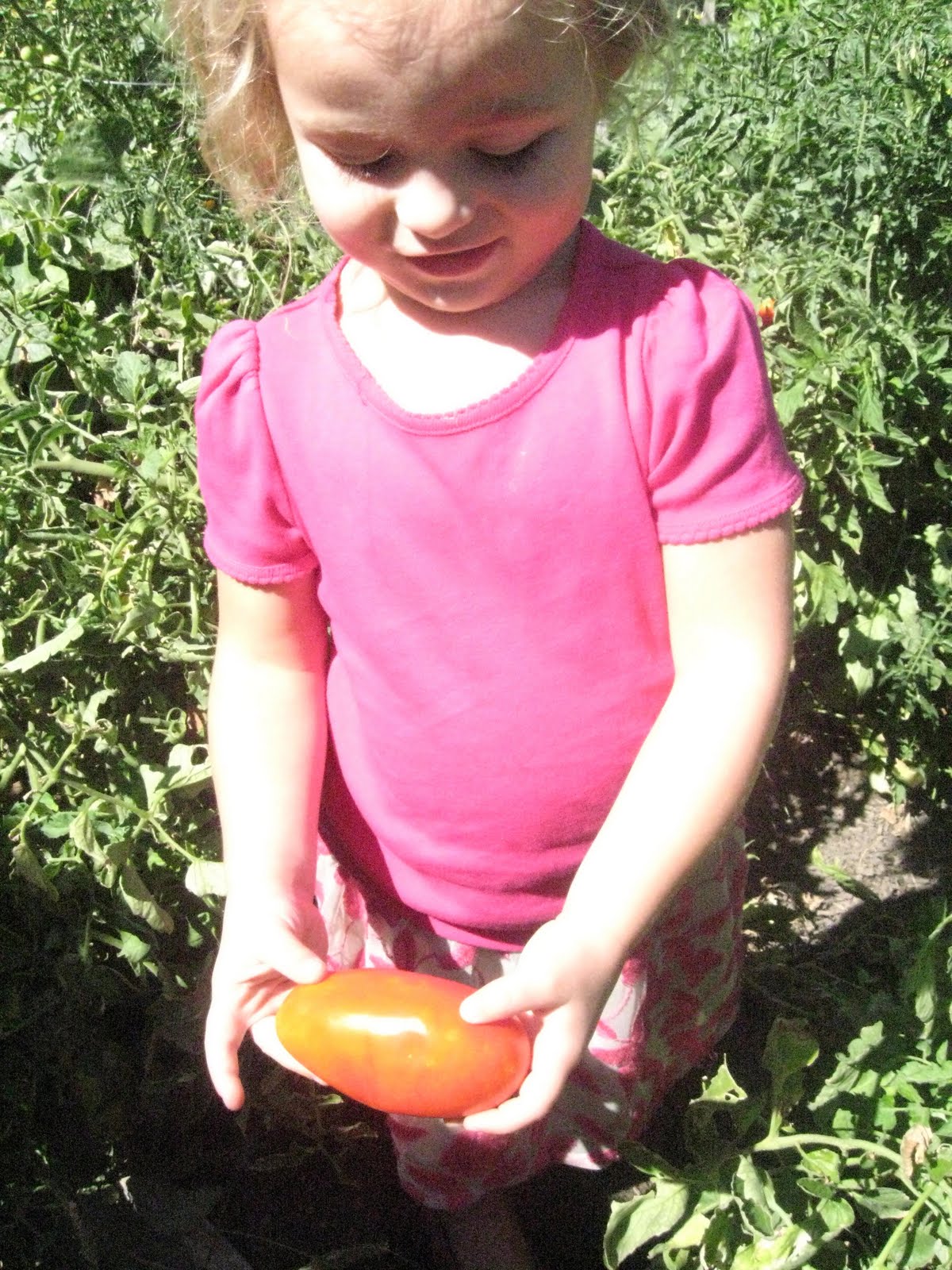 My Wee Blether: Two wee girls for a day...