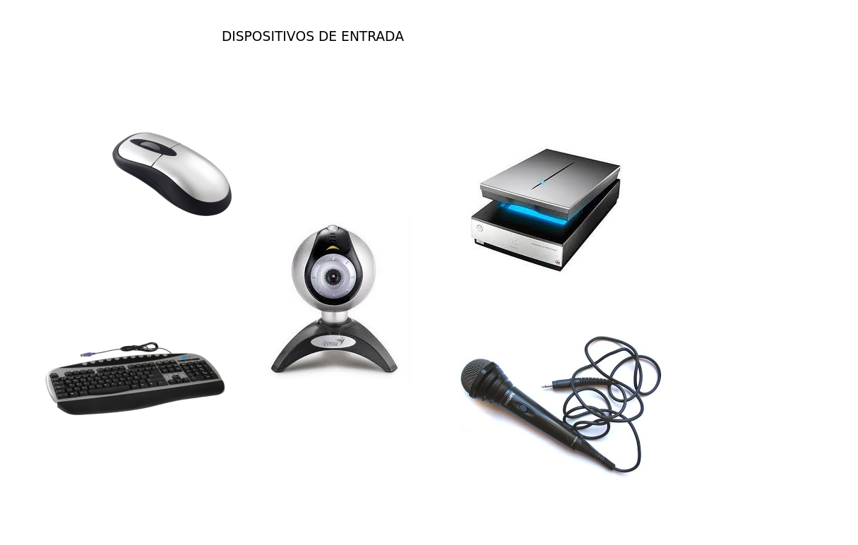 10 Dispositivos De Entrada Y Su Funcion Englshrini - vrogue.co