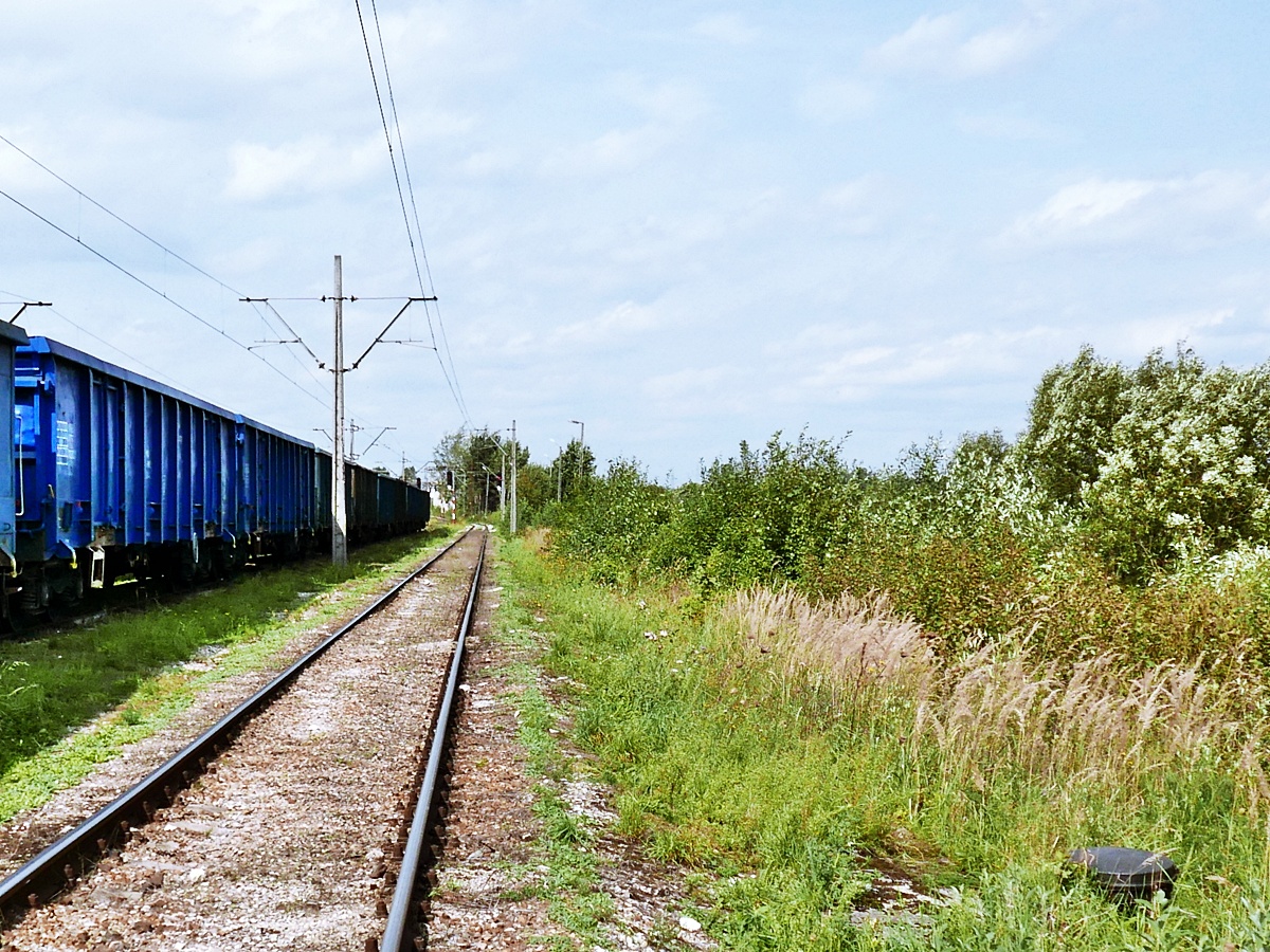 Class 66604 FPL na stacji Nida | Kolejowe Kielce