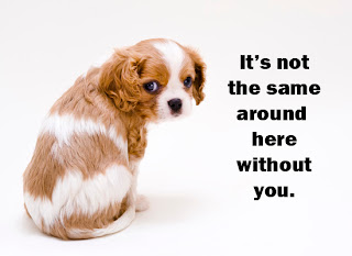 My sOul Speaks: Yes, I Miss You: A confession!