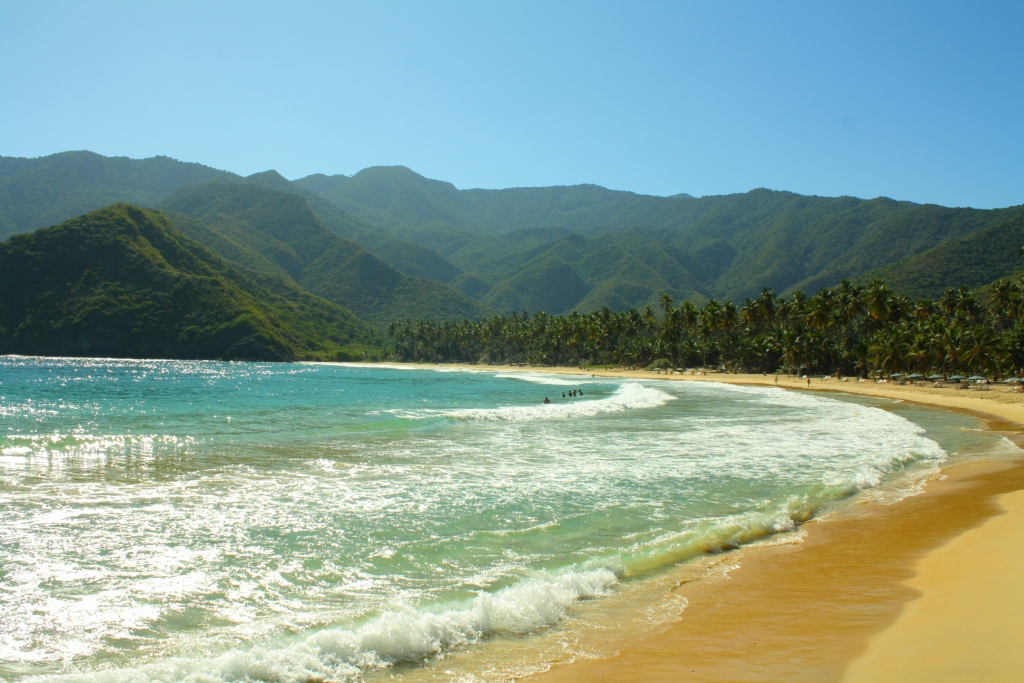 Tête de Rippyz: Venezuela : Choroni du 11 au 14 février 2012