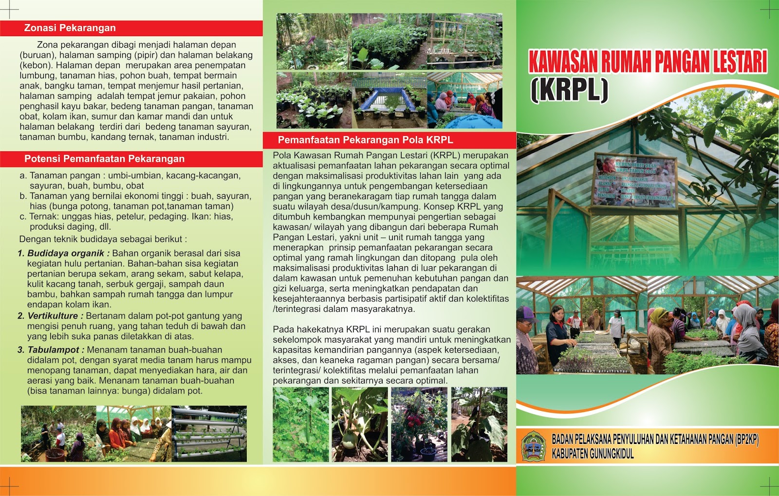 AGRIBISNIS DAN KETAHANAN PANGAN: PEMANFAATAN PEKARANGAN MELALUI KONSEP ...