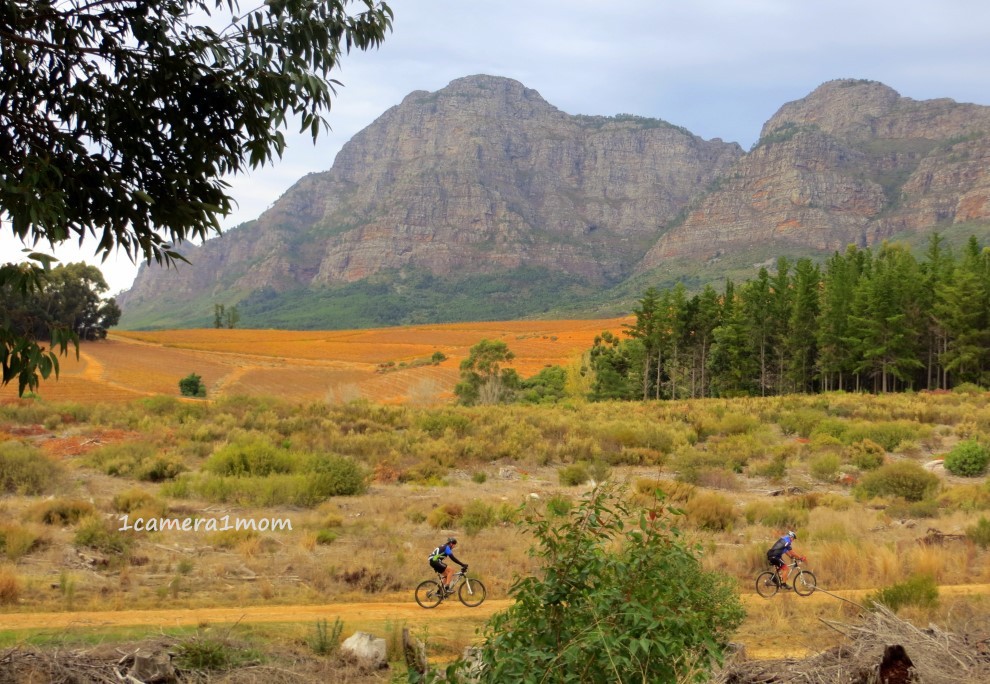 1camera1mom: Angala Boutique Hotel and Art Workshop