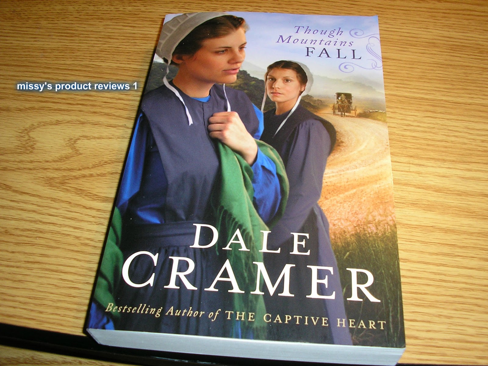 Missy's Product Reviews : Through Mountains Fall By Dale Cramer Review