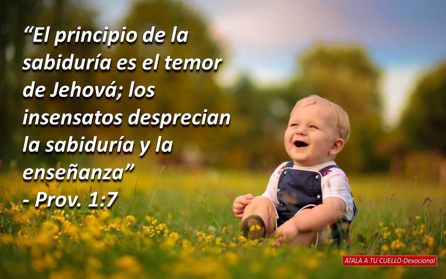 Explicação De Provérbios 1 - FDPLEARN