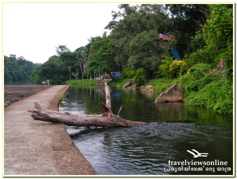 പ്രകൃതിയിലേക്ക് ഒരു യാത്ര (a travel towards NATURE): EZHATTUMUGHAM ...