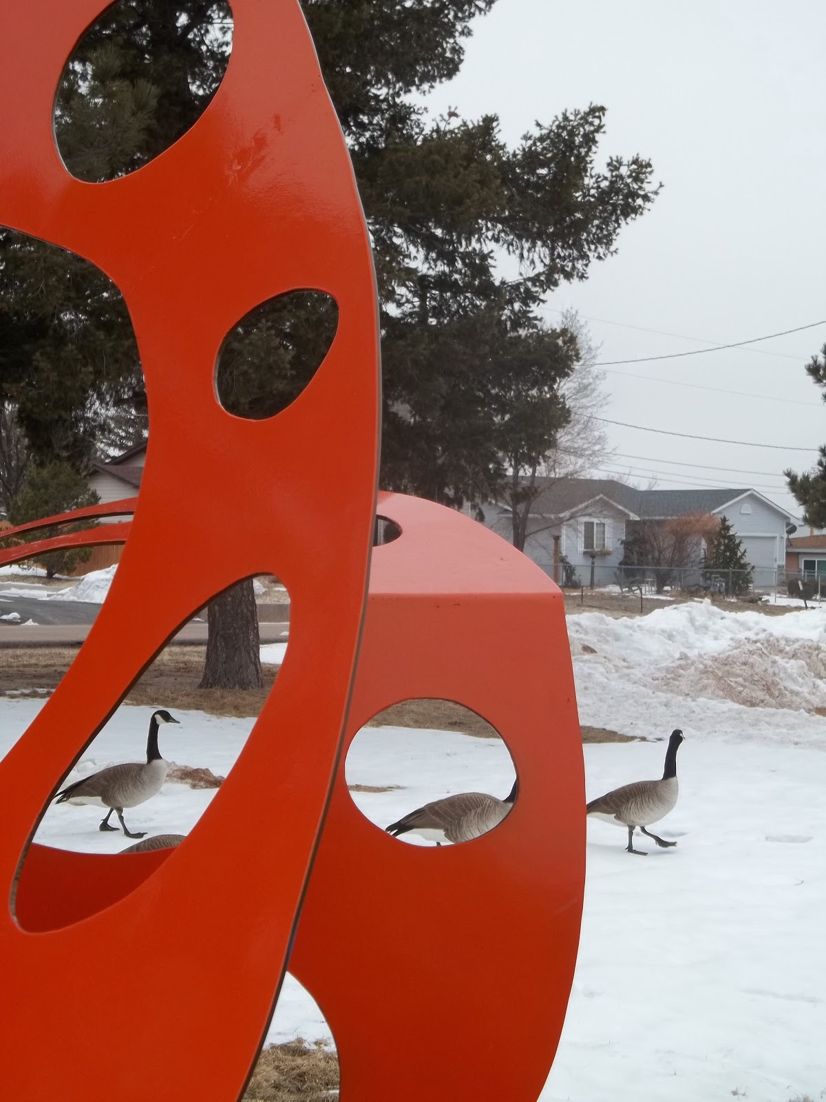 Colorado Pressless Native: Things before spring