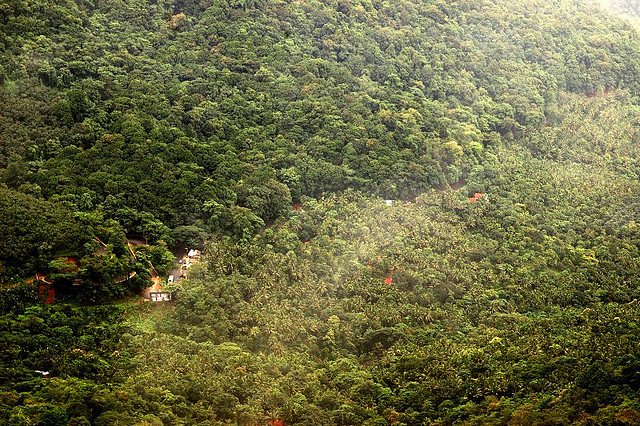 Tourist Attraction India: Kalpetta : Natural Beauty