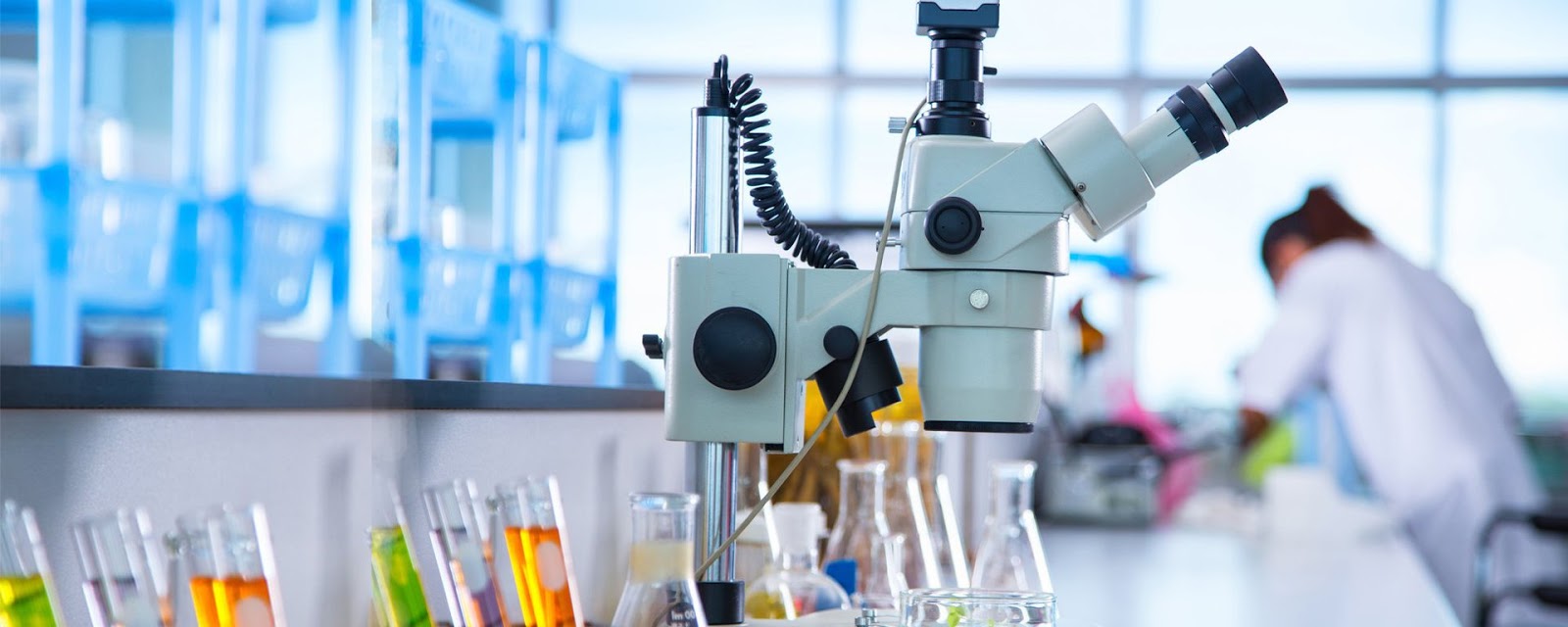 Cytotoxicity Assay Kit- What You Need to Know