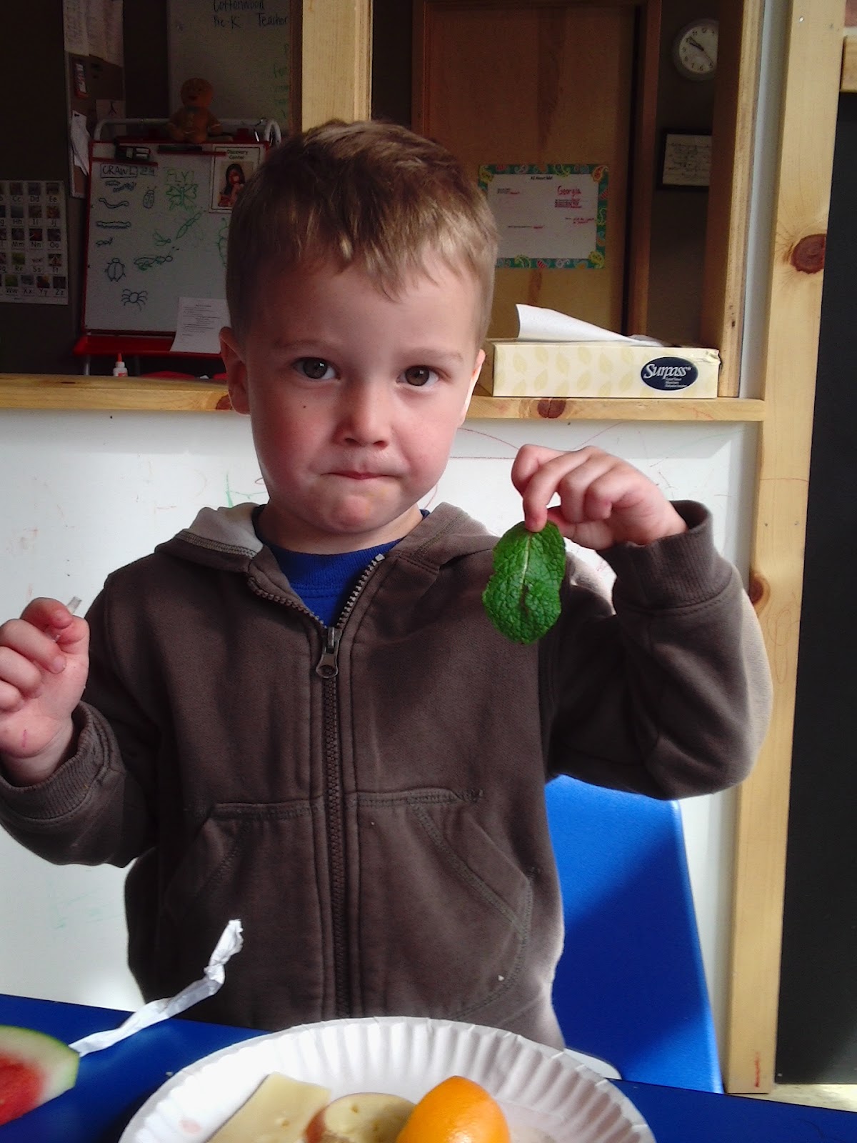 My CMLC News The Very Hungry Caterpillar my-cmlc-news-the-very-hungry-caterpillar