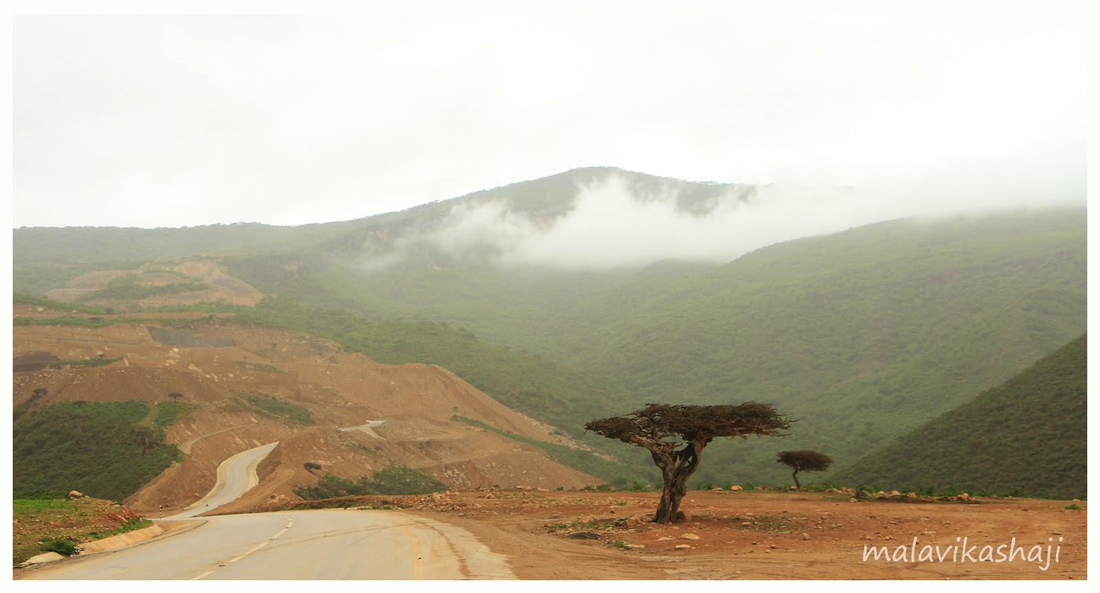 SHAJI K NADESAN PHOTOGRAPHY: Magnetic Road in Mirbat, Salalah