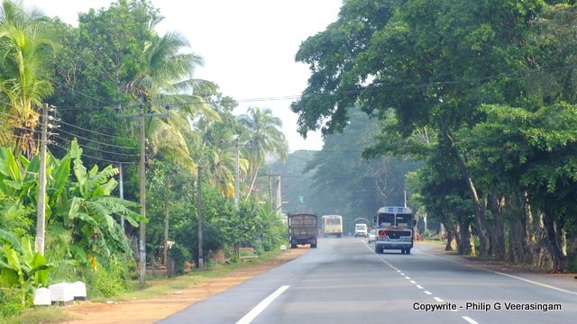 Images of Sri Lanka on blogspot.com: Padeniya to Galgamuwa on the road ...