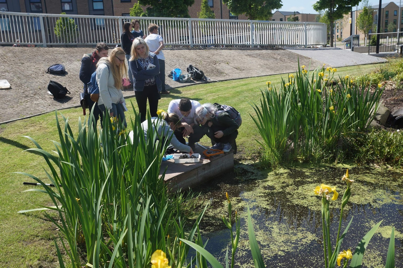 Stuart Marsden's Conservation Research Group: Monitoring biodiversity ...