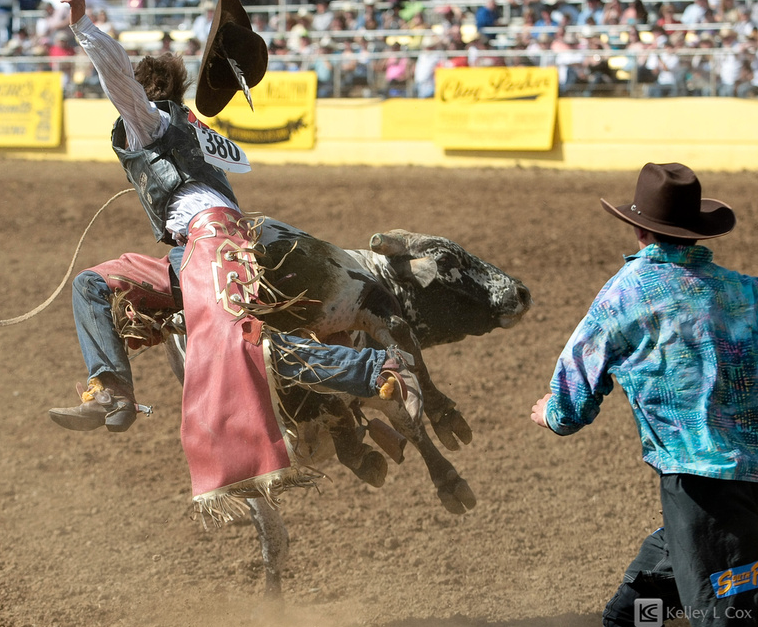 Kelley L Cox | Red Bluff Round-Up