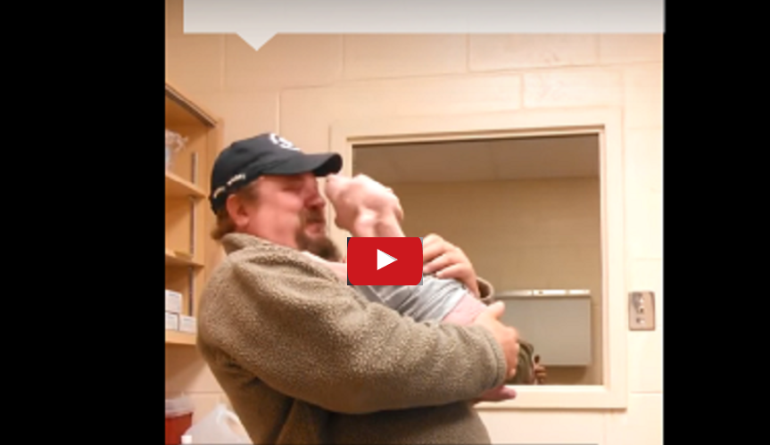 PUPPY WAS RESCUED FROM ABUSIVE HOME, BUT WHEN HE SEES HIS NEW OWNER… MY ...