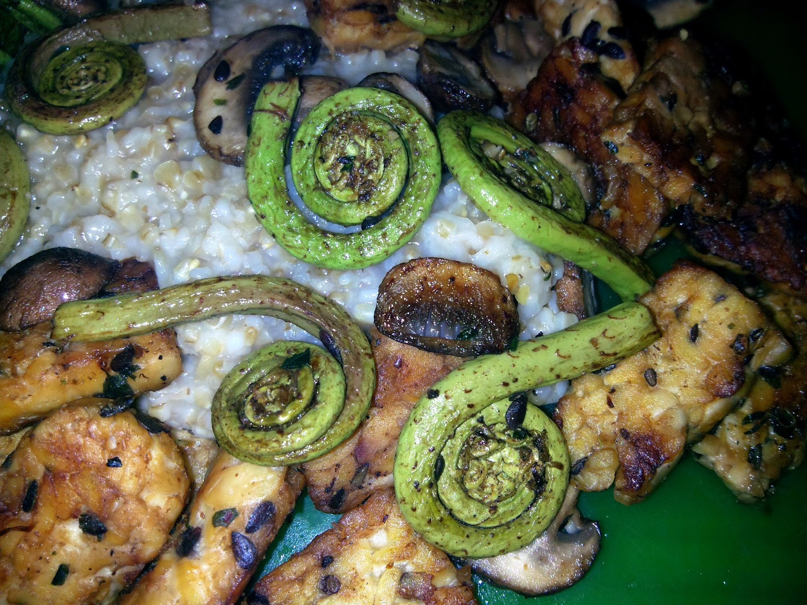 Twigs, Leaves, and Grass: Fiddleheads for One