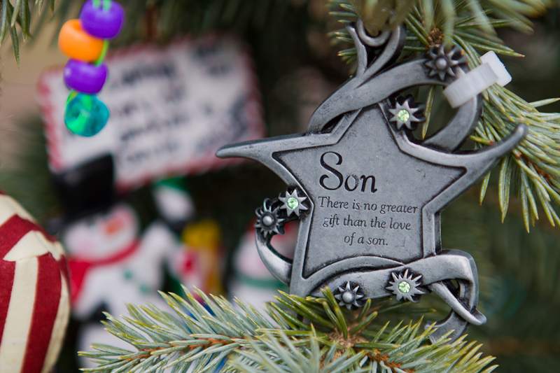 Teresa Hunt Photography: Memorial Christmas Tree