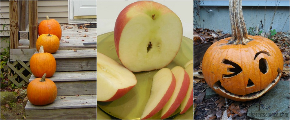 Share it! Science : Harness the Power of Nature this Fall!