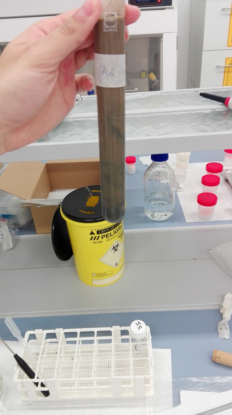 Winoblog: UCA_5A-6A-7A_1: Day 0 – Starting Winogradsky Column’s project!