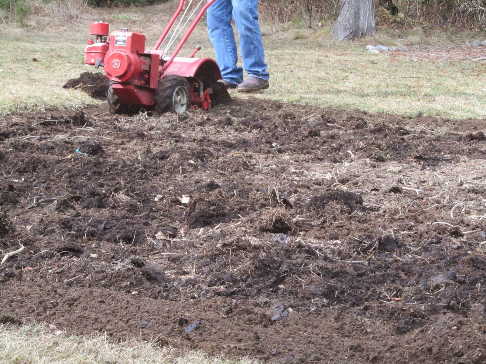 Jen & the Bean stalk: Turning Soil