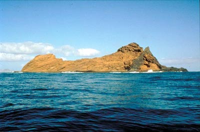 Especies Amenazadas de Canarias: Las aves marinas del Archipiélago Chinijo