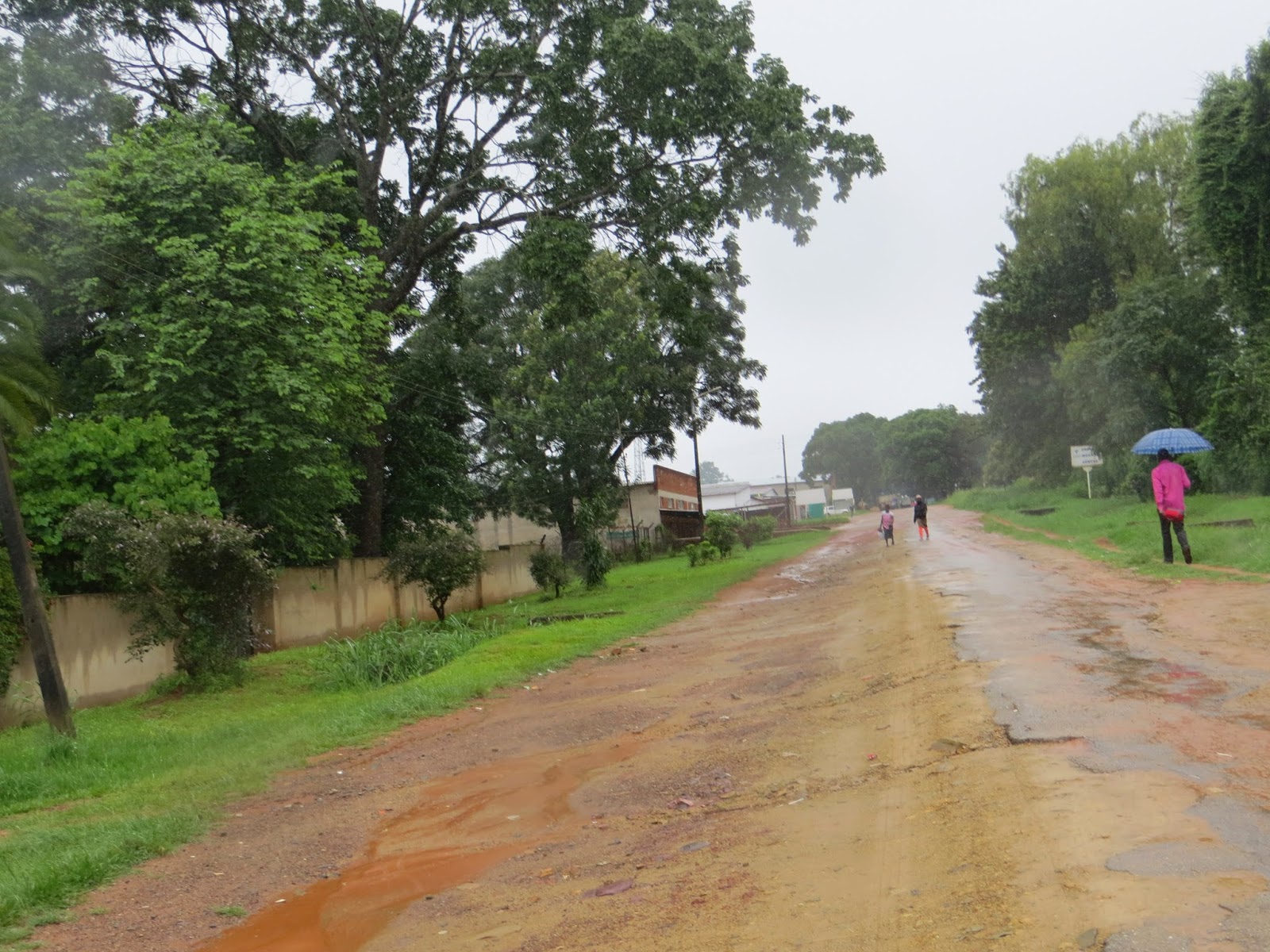 WOBBLS around Zimbabwe - A journey of rediscovery: Blog 5 Chipinge Chiredzi