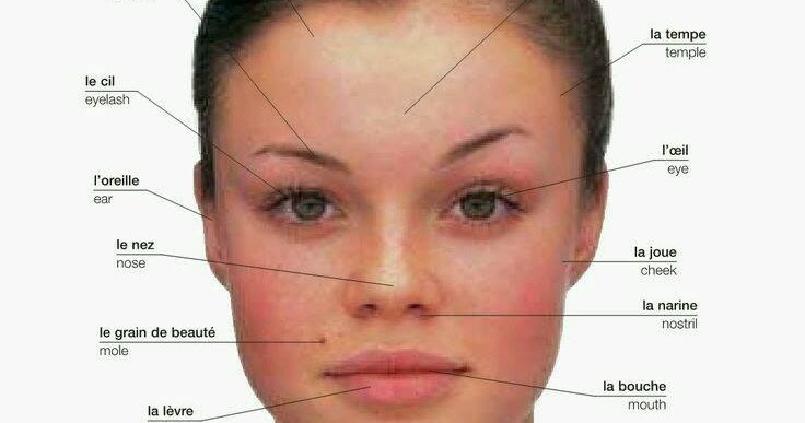 Parlez-vous français?: VOCABULAIRE - Les parties du visage