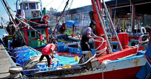 Hazards of Handling Industrial Fish