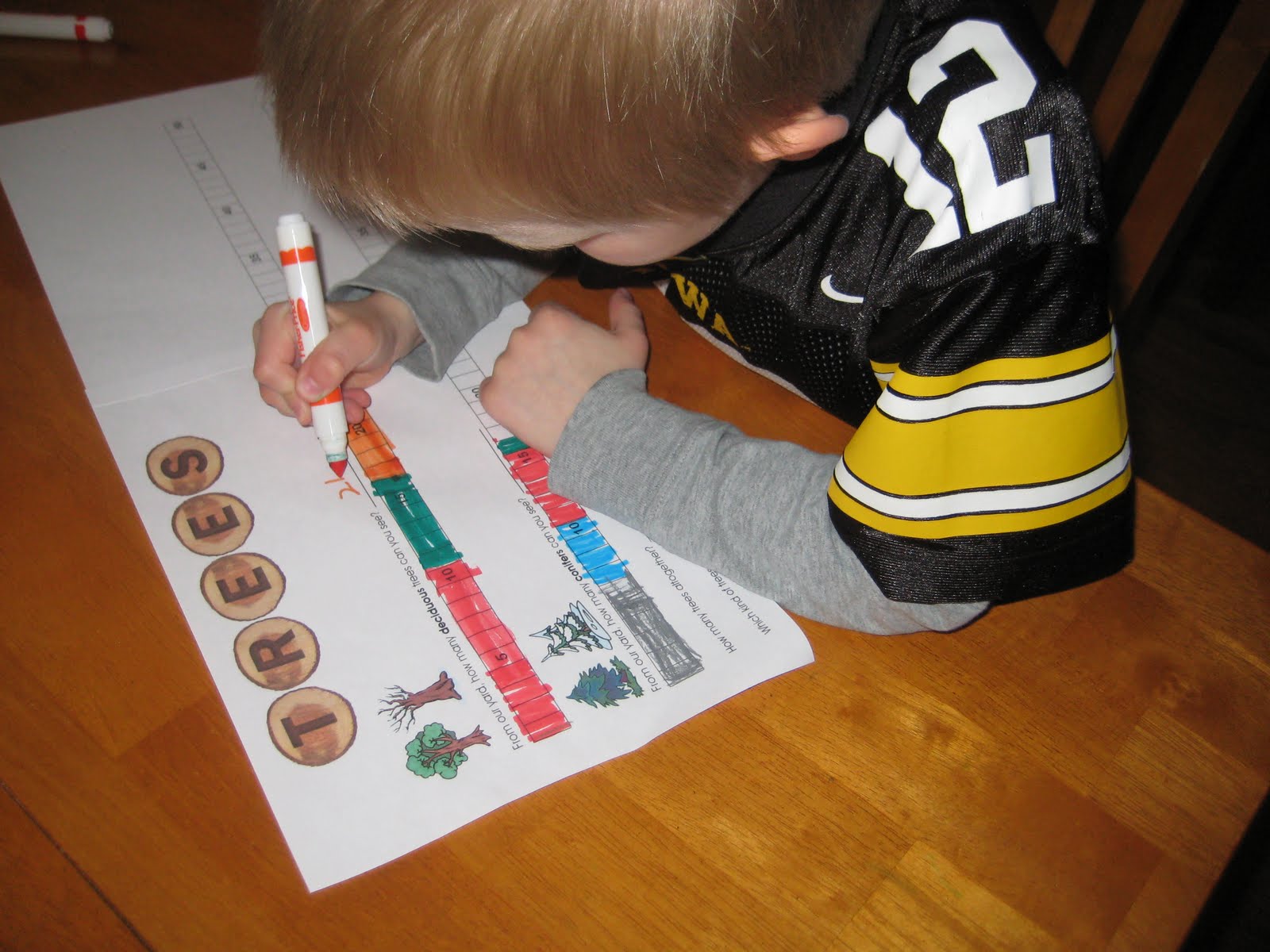 Relentlessly Fun, Deceptively Educational: What Trees Do You See?