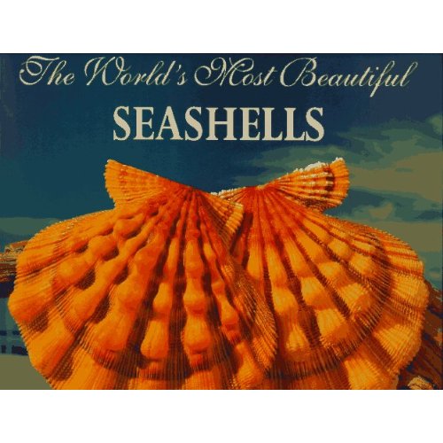 The Well-Read Child: Library Finds: Seashells!
