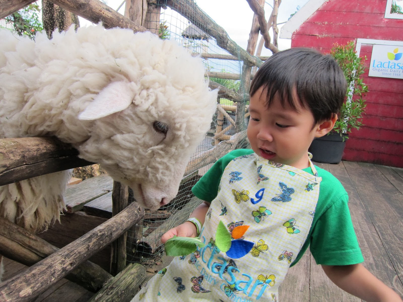 Moments & Memories: Feed the Animal - Lactasari - PVJ Bandung