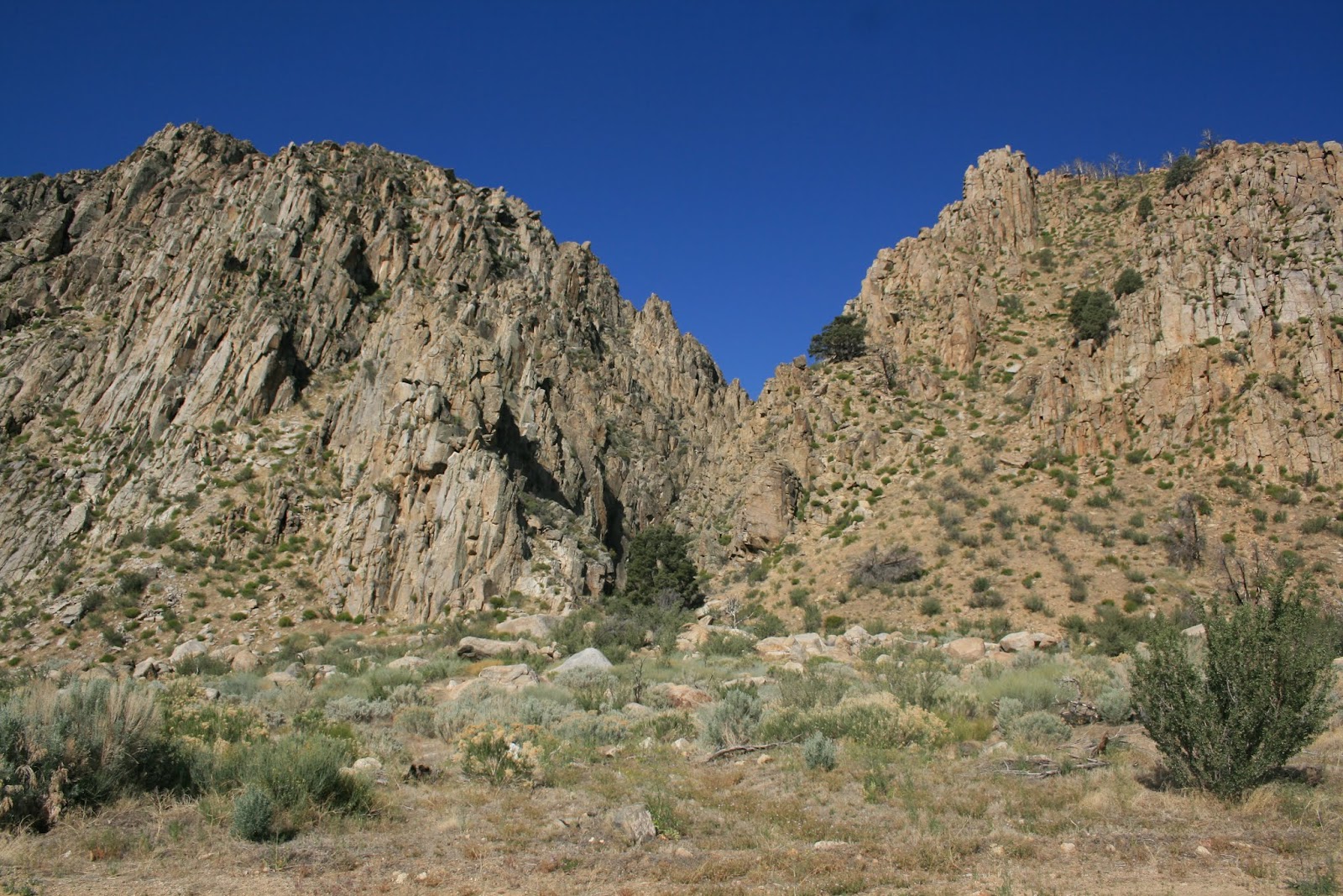 Stillhowlyntravels: Sutter Creek to Coleville...