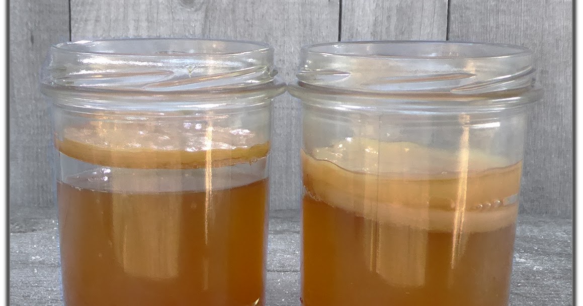 Gör egen kombucha! Scoby svamp till salu, skickas med vanlig post på 1 ...