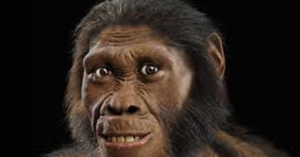 Fossil Adventure: De simio a simio y de Humano a Humano.