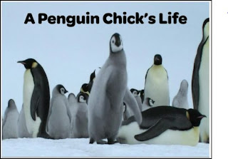 I³: Imagine. Inspire. Innovate.: Pebble Go and other Digital Resources ...