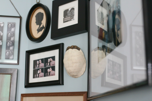 How to Wall Mount a Turtle Shell | 17 Apart